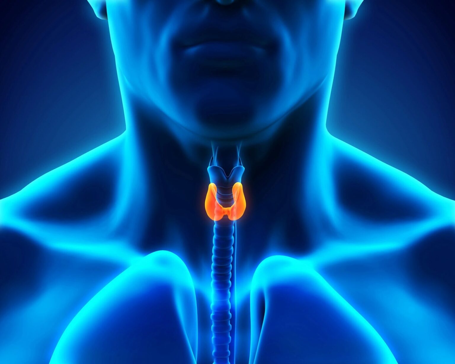 Pain Management Physician - Alexandra Berger MD